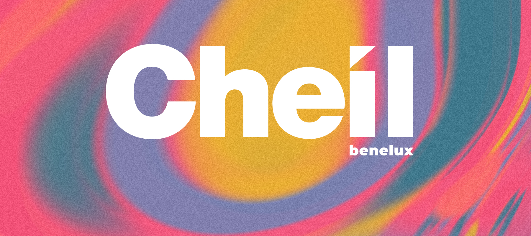 [Vacancy] Cheil Benelux has a position for a Project Manager - Full ...